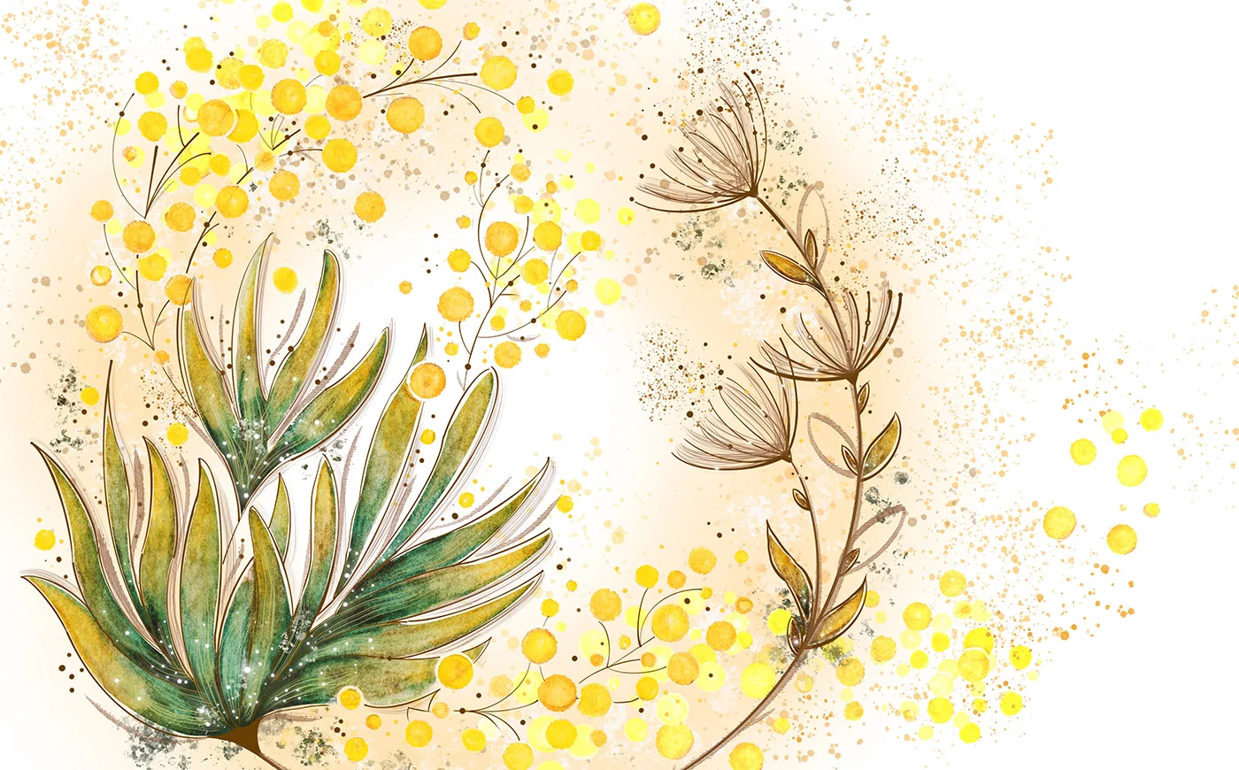 Dessin De Mimosa